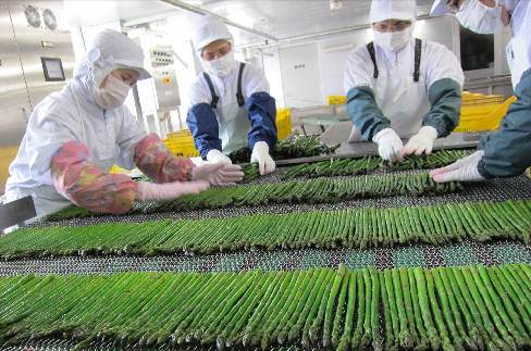 【News】 Chances for domestically produced frozen vegetables increase ...