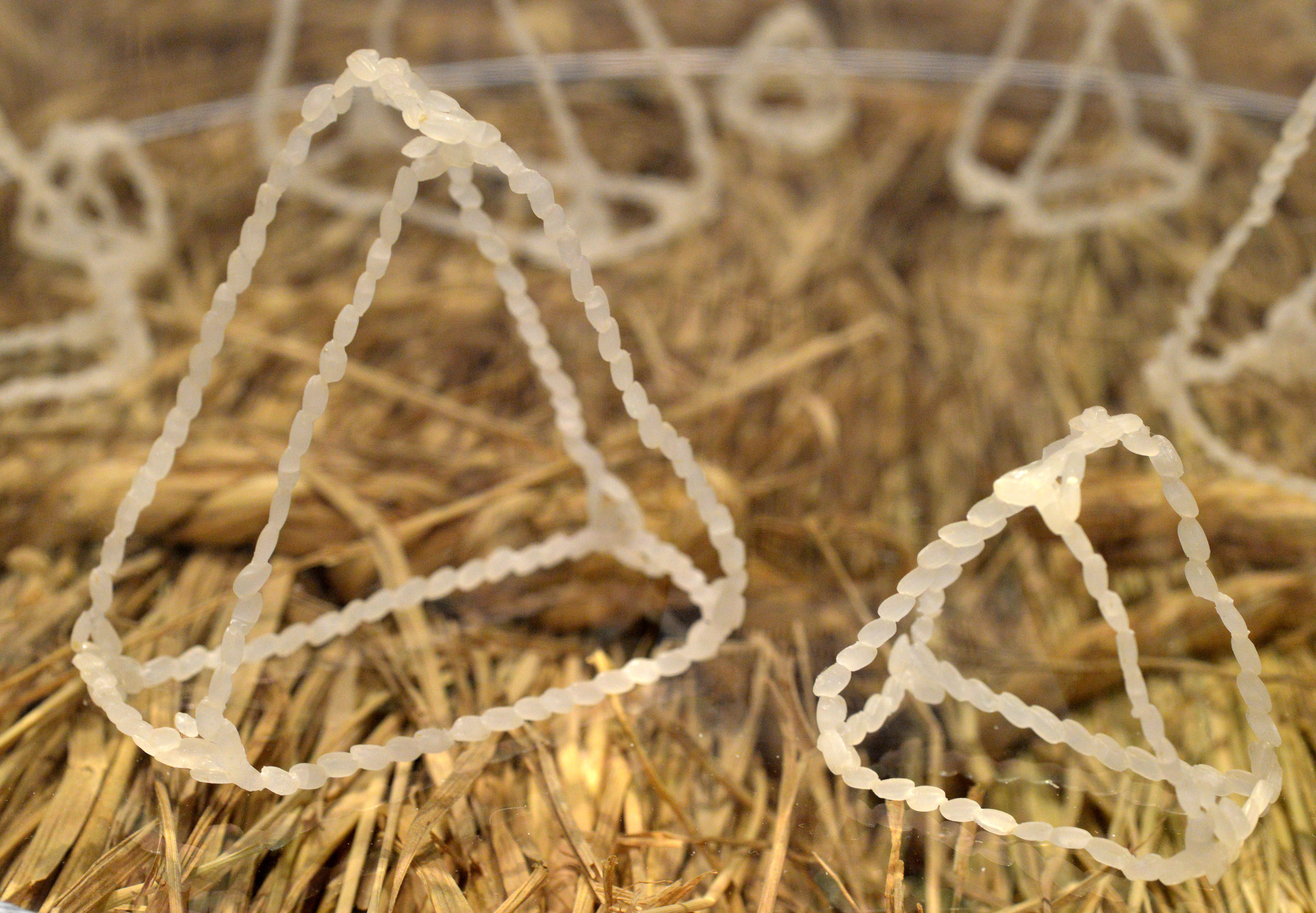 【News】 Rice farming – the pulse of art and culture (May 11, 2014) | The ...